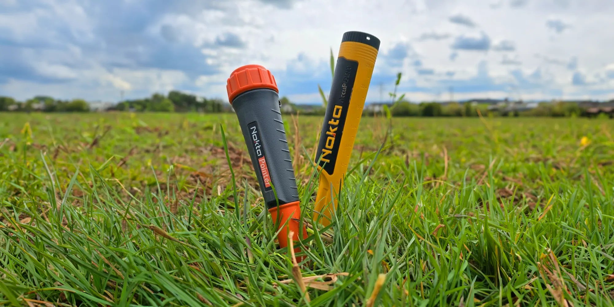 Pin-Pointers: Do I Need One?